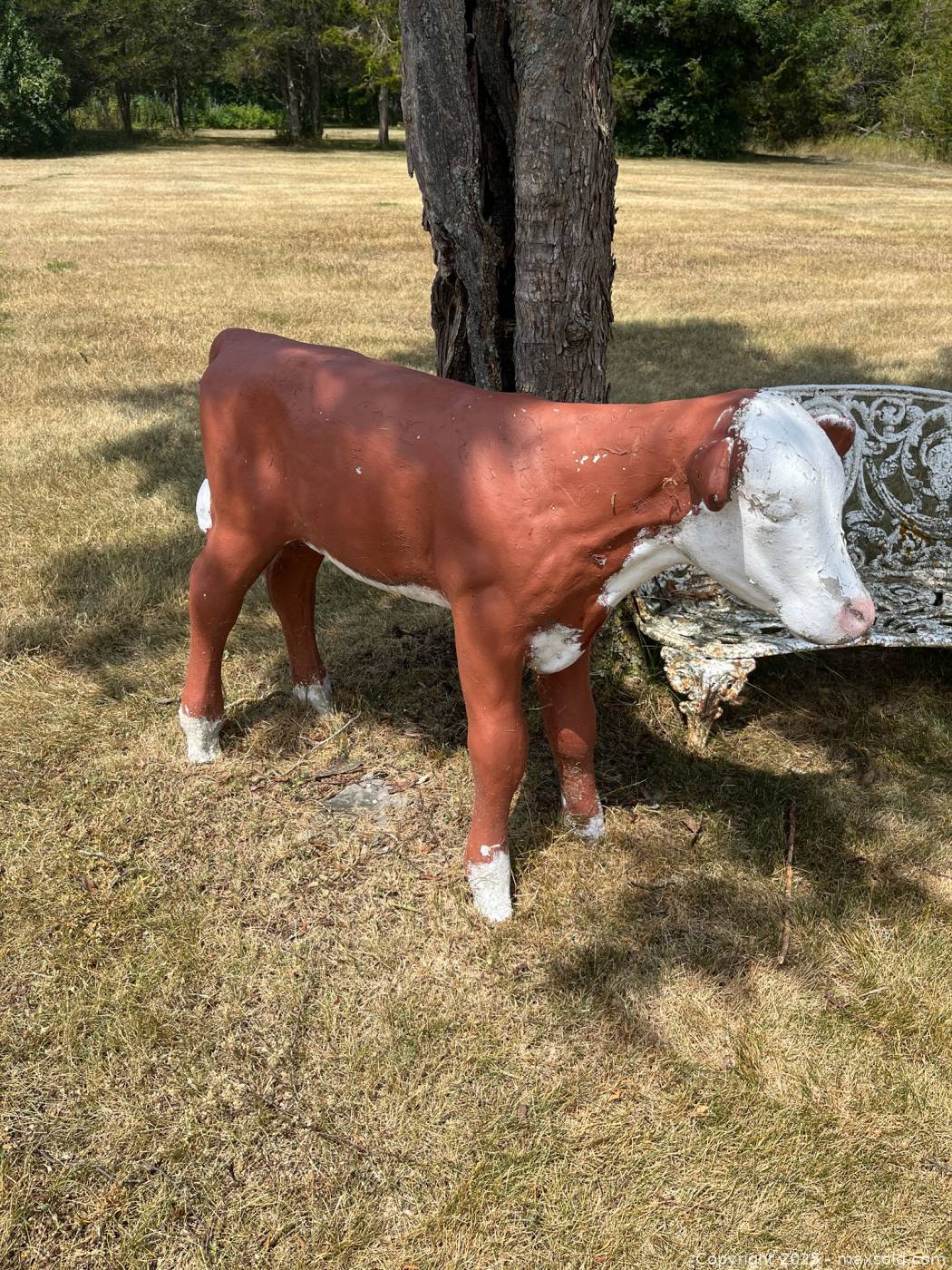 Concrete Cow Statue | Greater Napanee (Ontario, Canada) PARTNER MANAGED ...