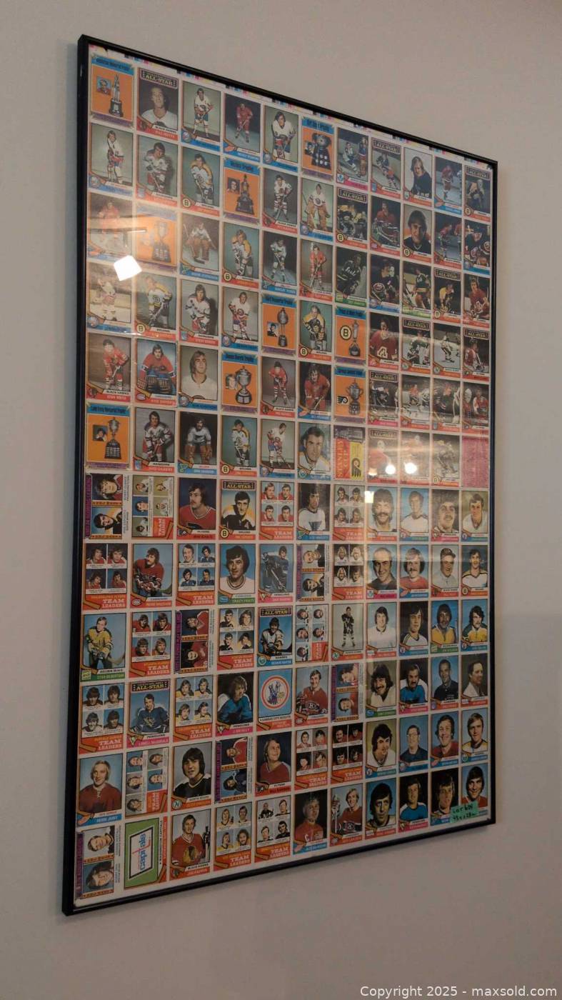 Framed Vintage NHL Hockey Card Collection Display, 1970s, 43"x28 ...