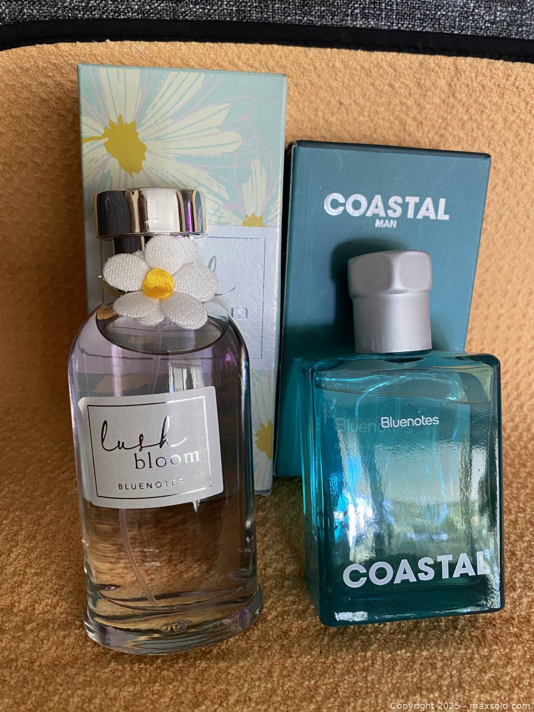 Bluenotes Perfume & Cologne Set 100ml Lush Bloom & Coastal Man ...