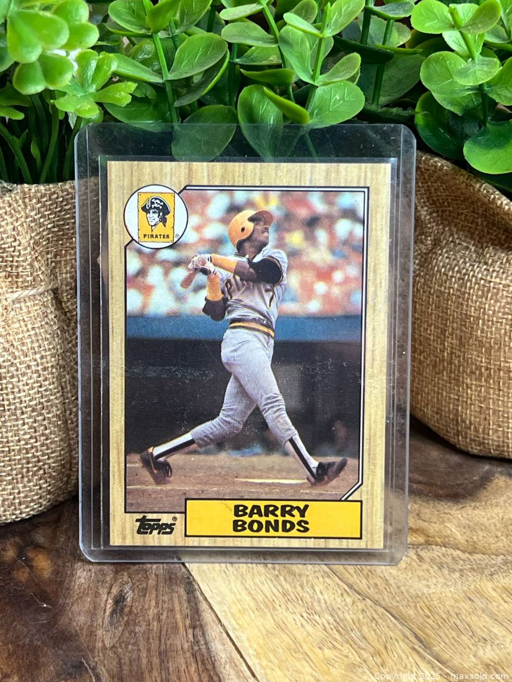 1987 Topps Home Run King BARRY BONDS Rookie | Toronto (Ontario, Canada ...