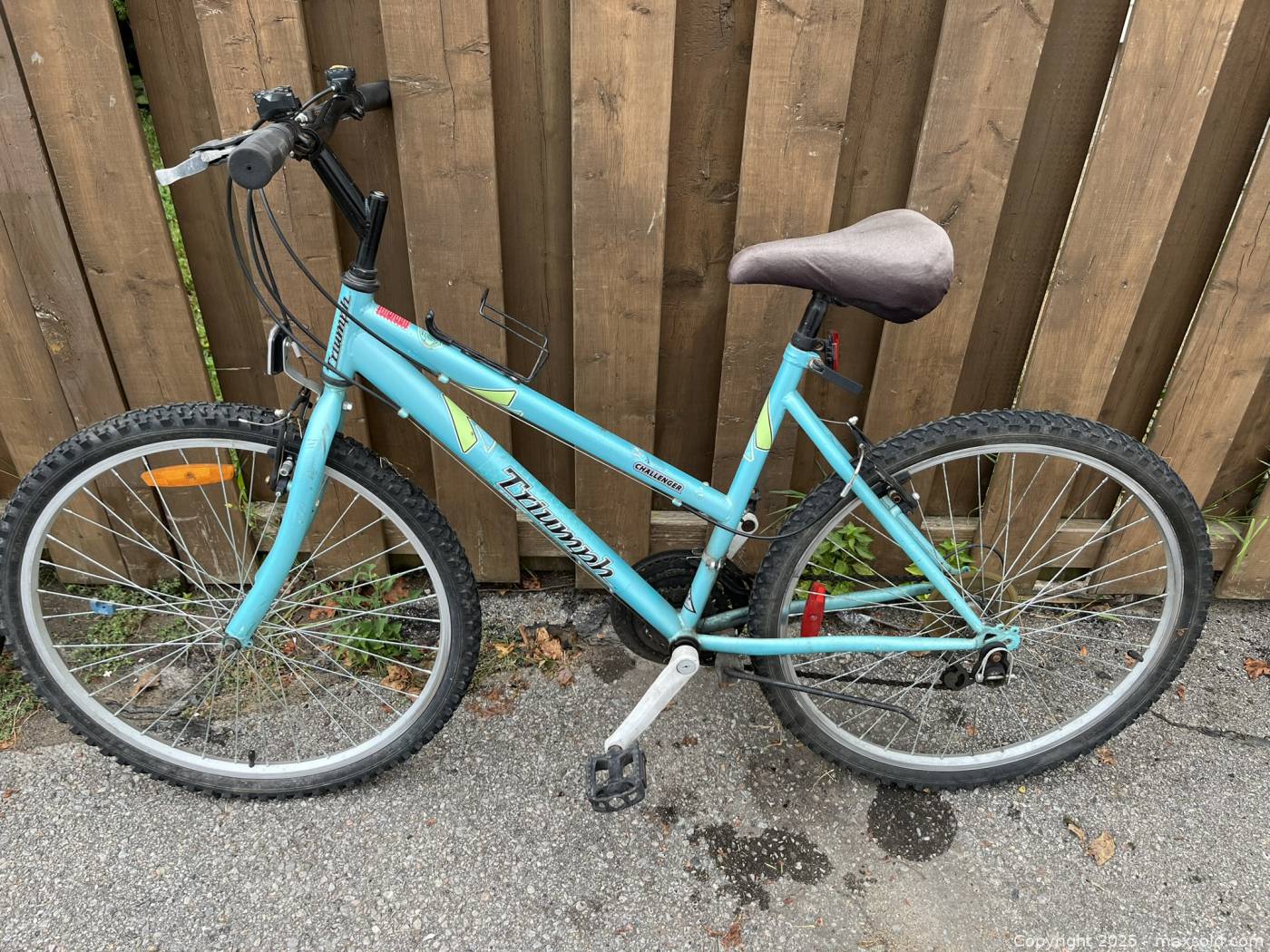 Triumph Baby Blue Adult Bike | Cobourg (Ontario, Canada) SELLER MANAGED ...