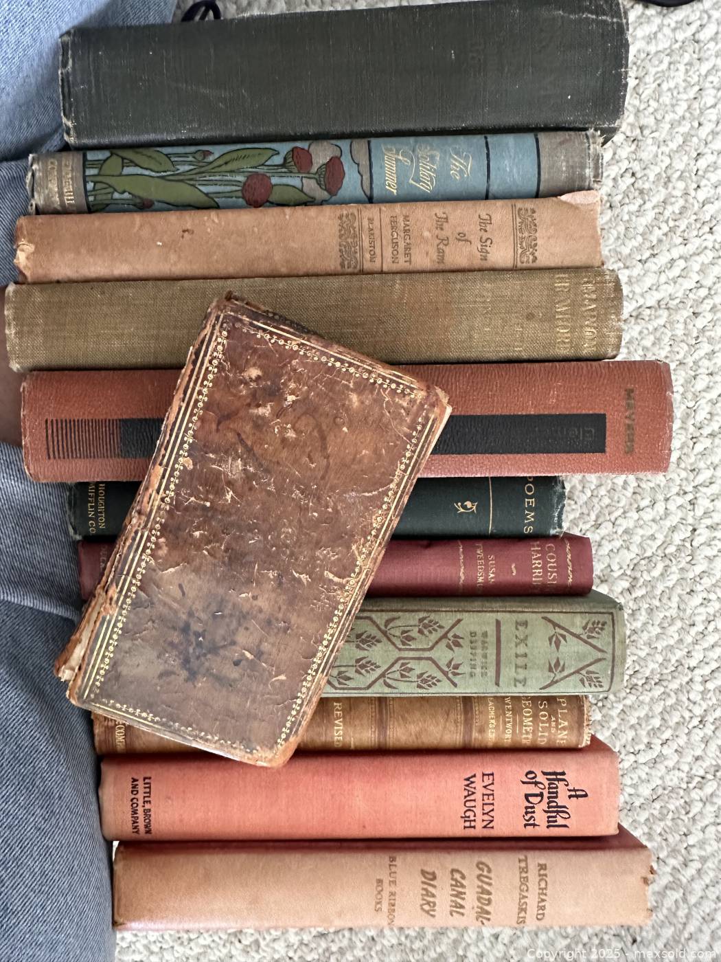 Antique Books | Penfield (New York, USA) PARTNER MANAGED Estate Sale ...