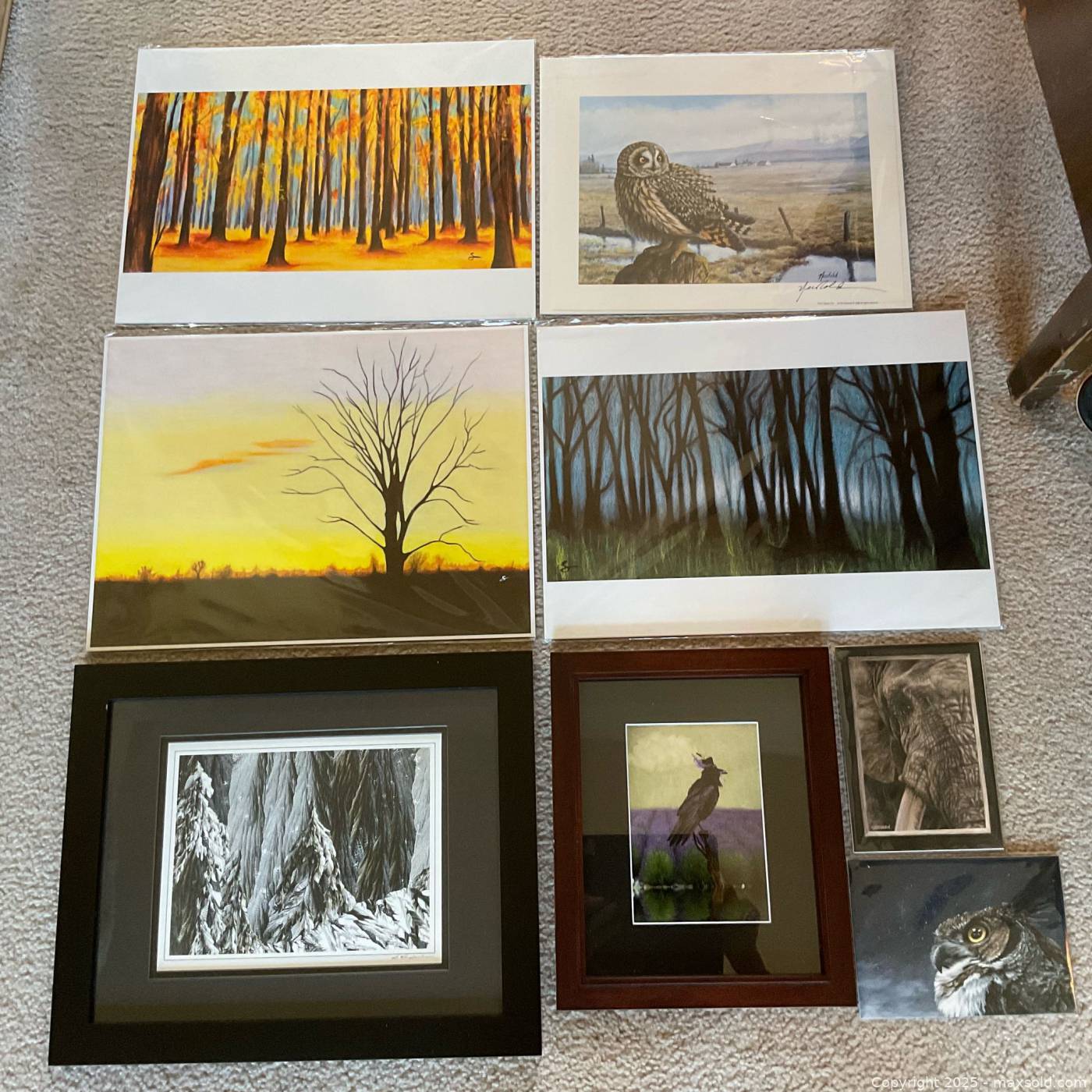 Framed and Matted Prints | Lynnwood (Washington, USA) SELLER MANAGED ...