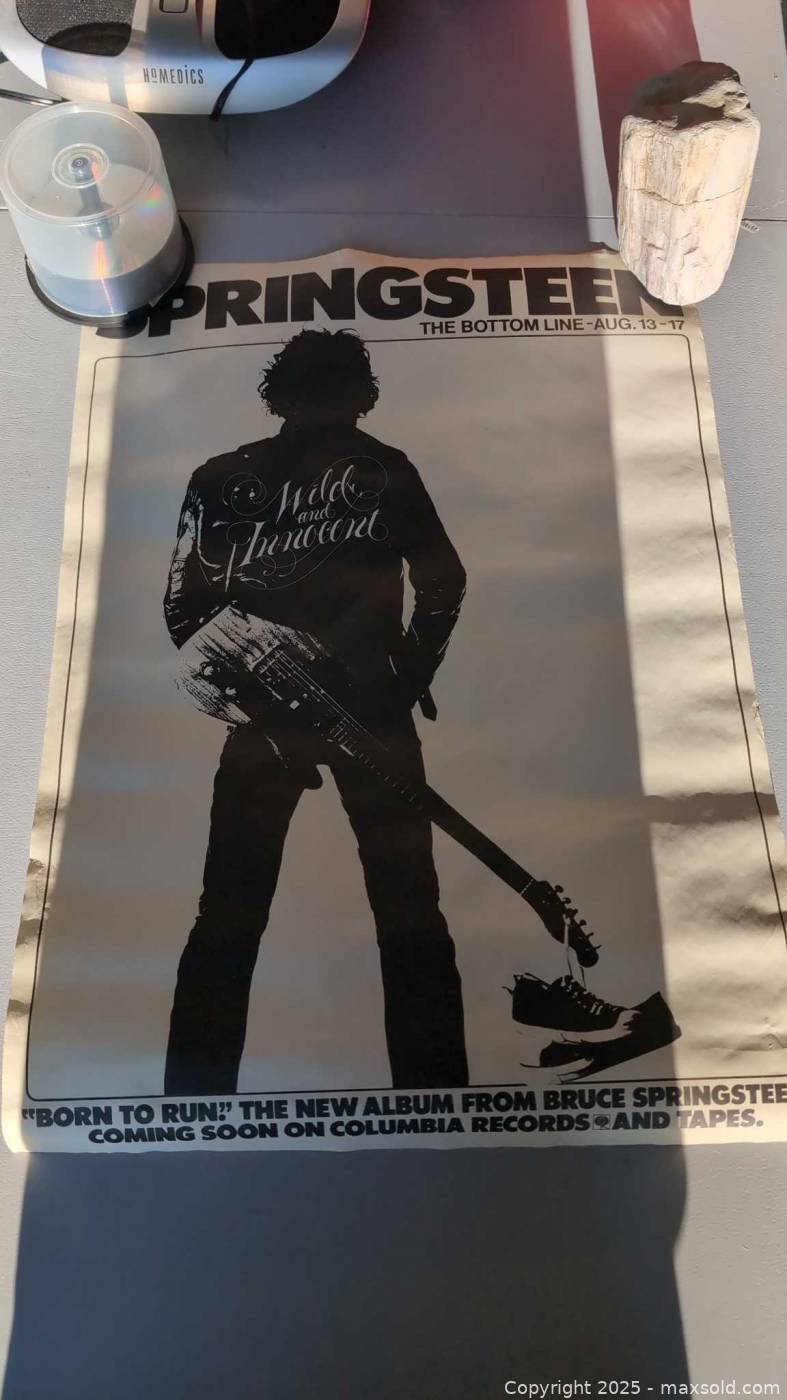1975 Bruce Springsteen Born to Run Promo Poster, 20 x 36 in | Niagara ...