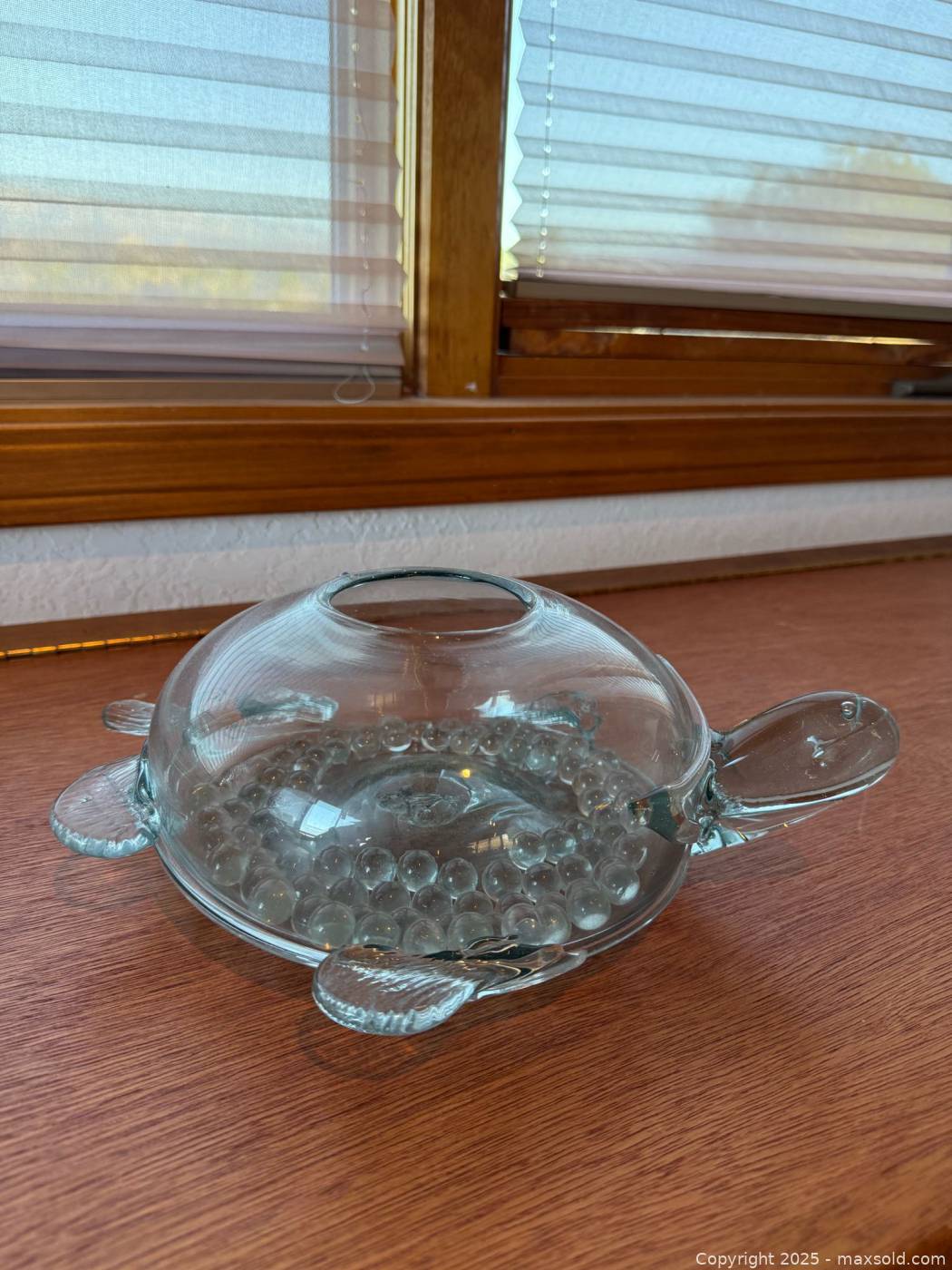 Vintage Turtle Bowl Hand Blown Glass Terrarium Fishbowl | Salinas ...