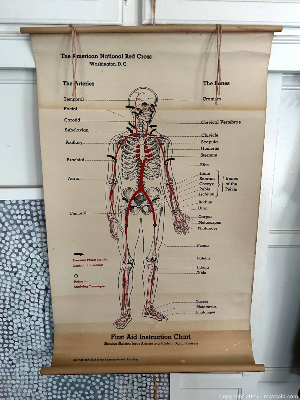 1933–1939 American National Red Cross First Aid Instruction Chart | Los ...