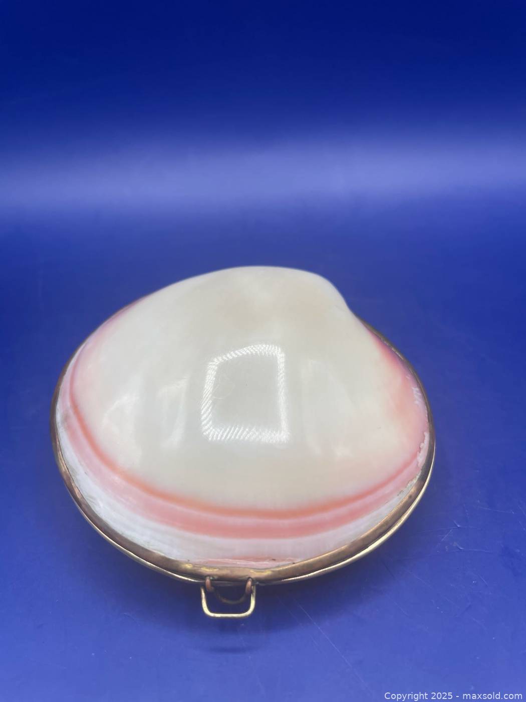 Natural Seashell Trinket Box with Brass Hinged Latch | Ottawa (Ontario ...