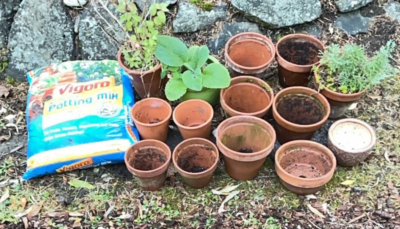 Small Clay Pots and Soil | Port Townsend (Washington, USA) PARTNER ...