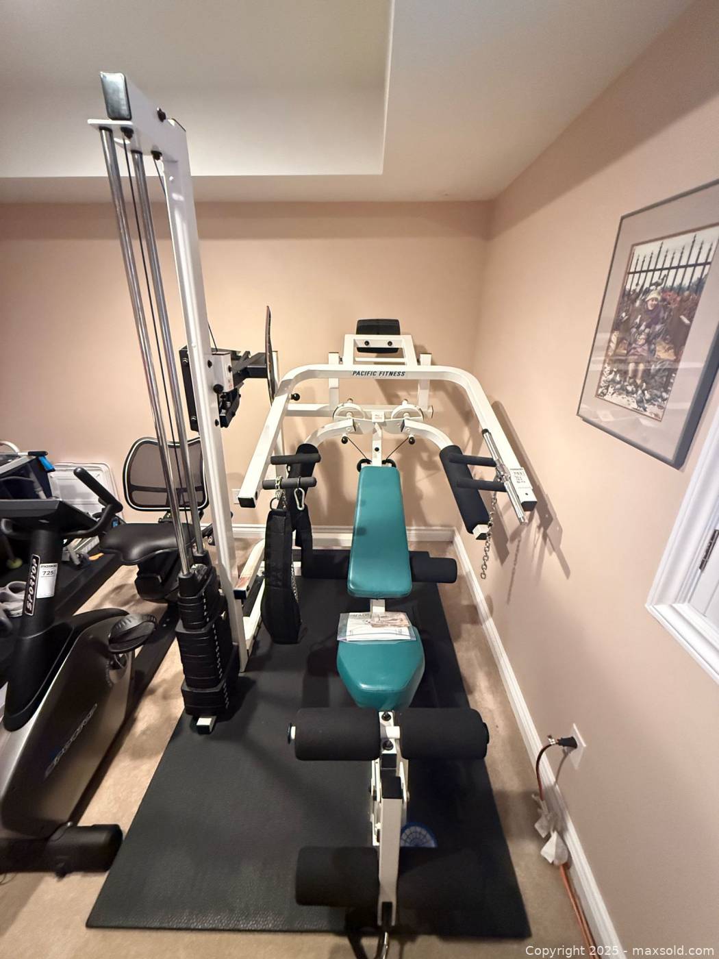 Pacific Fitness Del Mar Home Gym | Toronto (Ontario, Canada) PARTNER ...