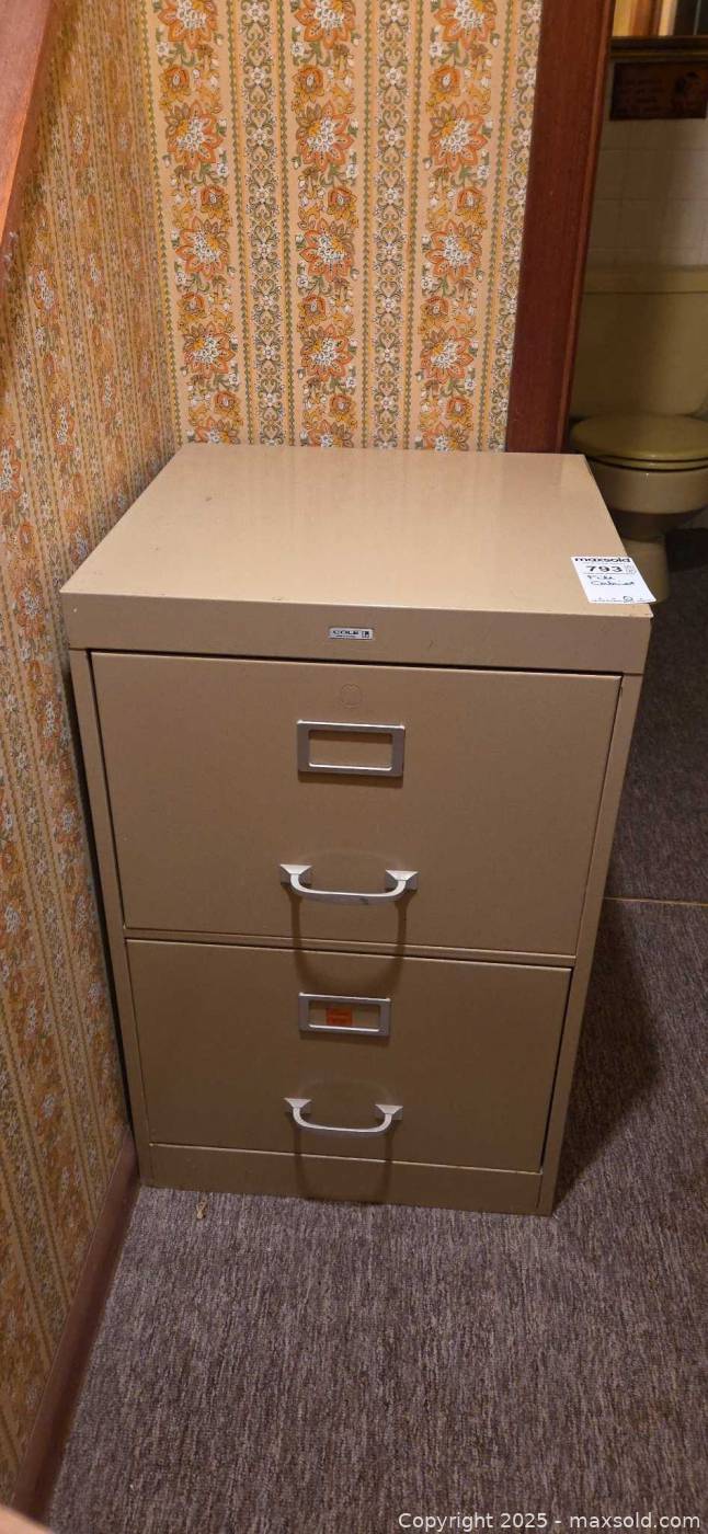 Cole 2-Drawer Vertical Metal Filing Cabinet, Beige | Halton Hills ...