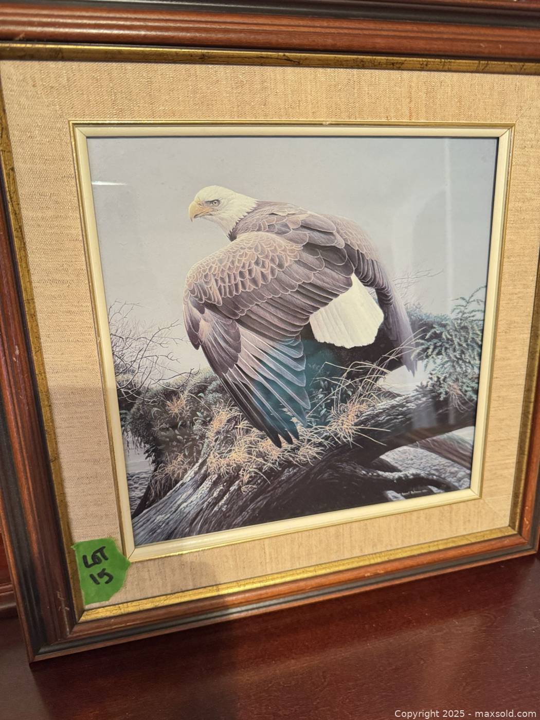 Framed Bald Eagle Wall Art Print Robert Bateman | Kawartha Lakes (Ontario, Canada) PARTNER ...