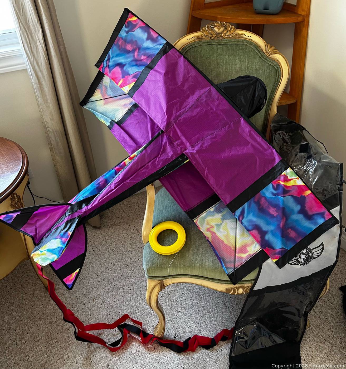 Sky Dog Airplane Kite | Maxsold