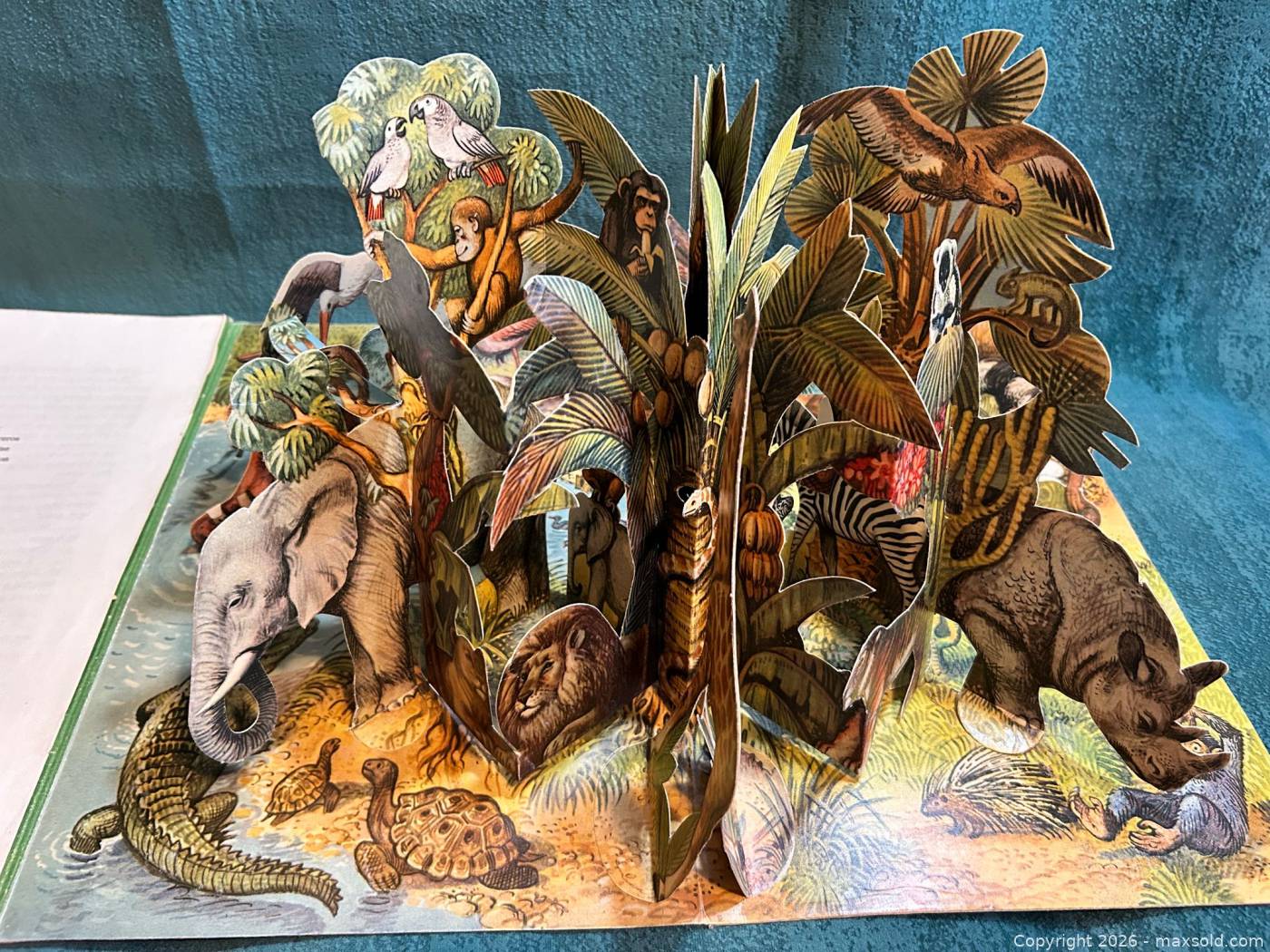 Vintage Pop-Up Jungle Book – “Moko and Koko in the Jungle” | Maxsold