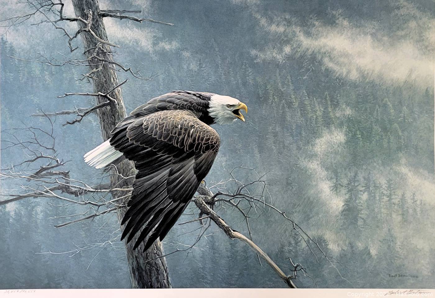 Robert Bateman - Signed and Numbered Print - The Air, the Forest and ...