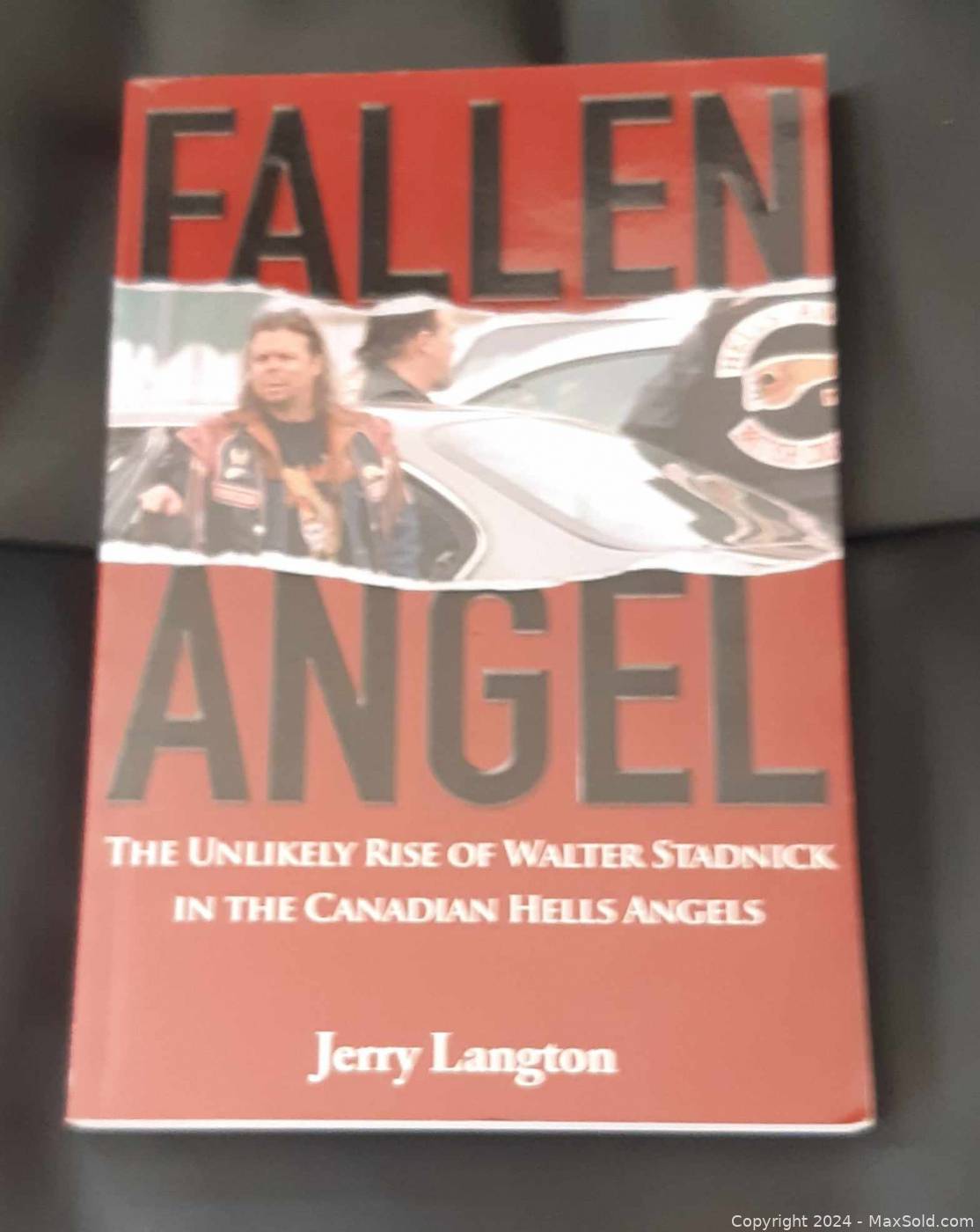 Fallen Angel - The Unlikely Rise Of Walter Stadnick In The Canadian ...