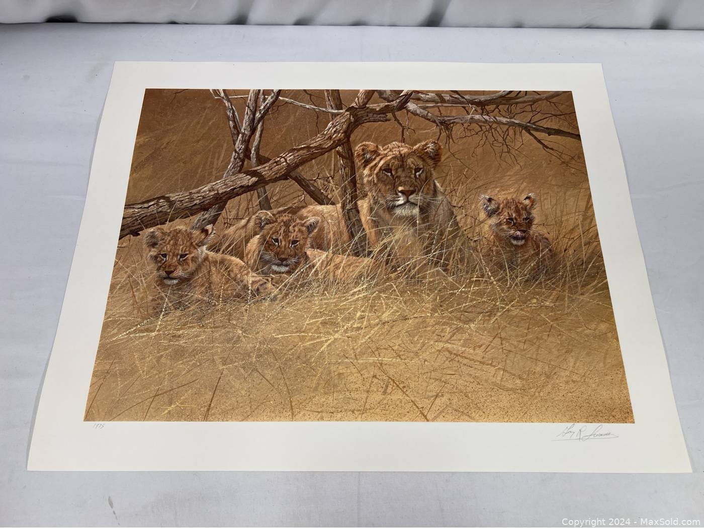 Art Print Of Lions by Gary Swanson | Campbell (California, USA) PARTNER ...