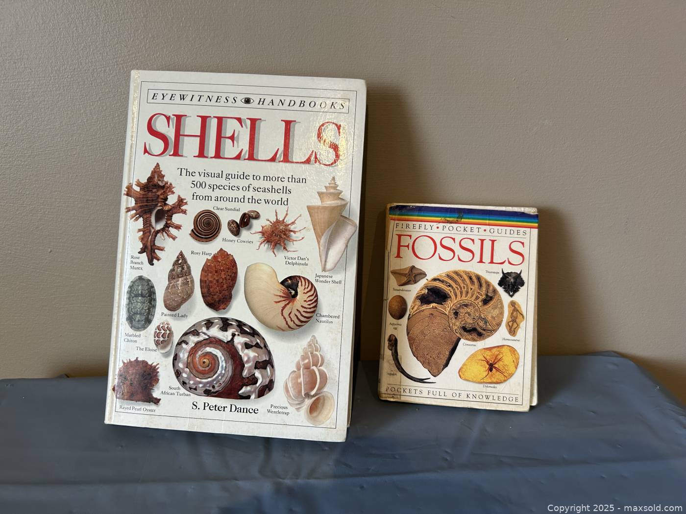BOOKS on SHELLS & FOSSILS | Port Perry (Ontario, Canada) SELLER MANAGED ...