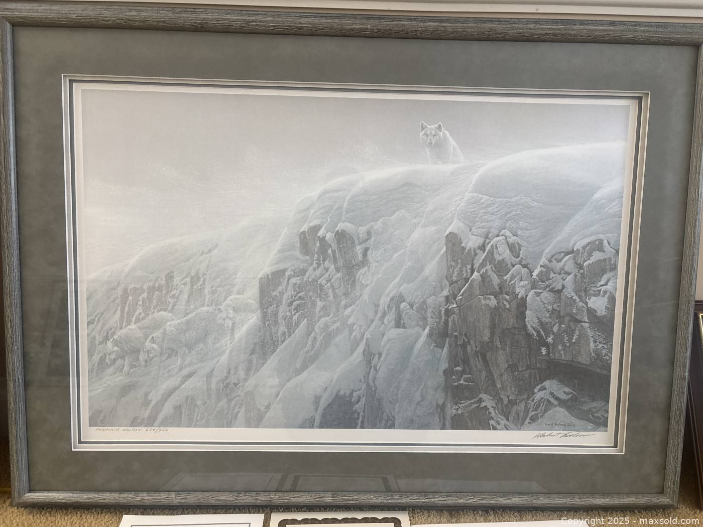 Bid Gallery | Hamilton (Ontario, Canada) PARTNER MANAGED Downsizing ...