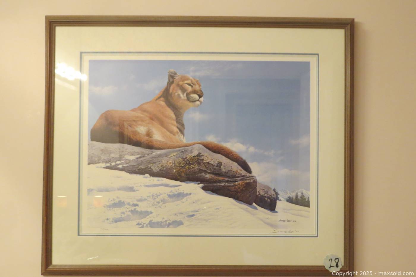 Framed limited edition picture of lion. Seerey Lester | Surrey (British ...