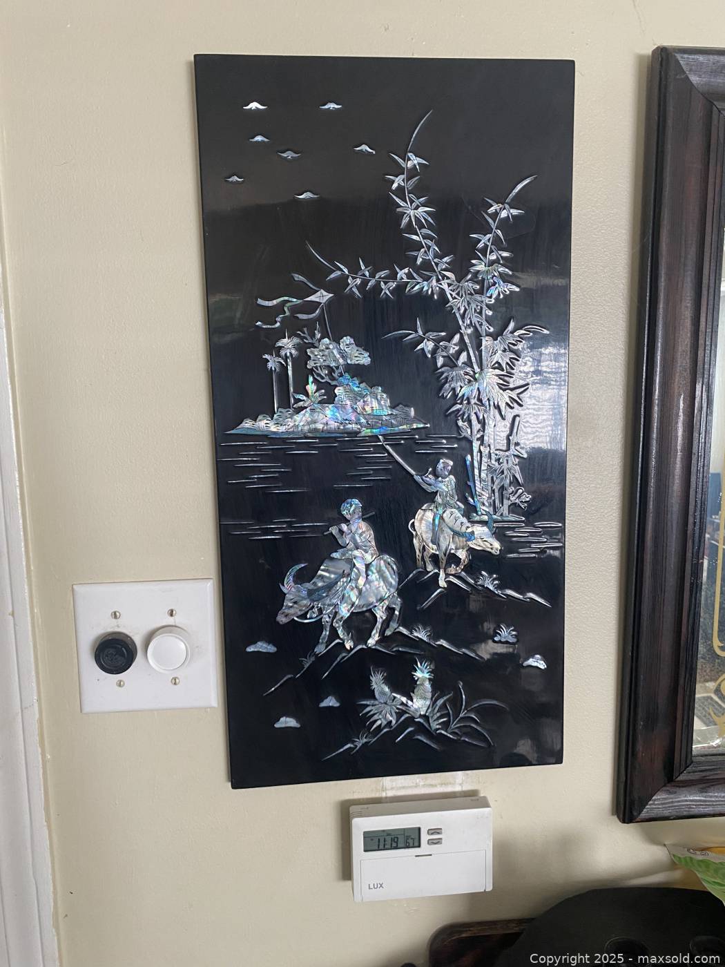 Asian abalone shell wall hanging | Surrey (British Columbia, Canada ...