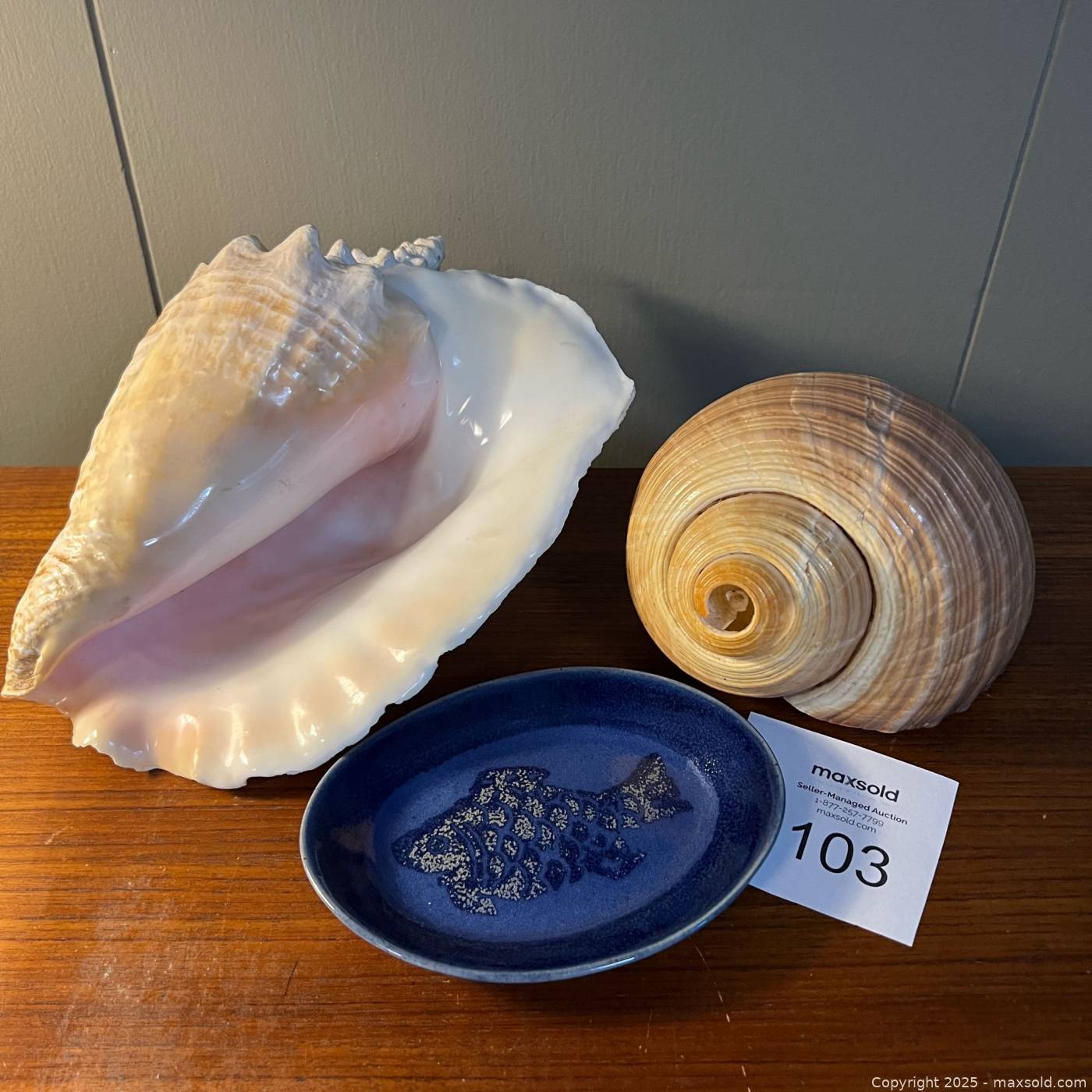 Huge Sea Shells and Fish Dish Aquatic Nautical Seashore Lot | North ...