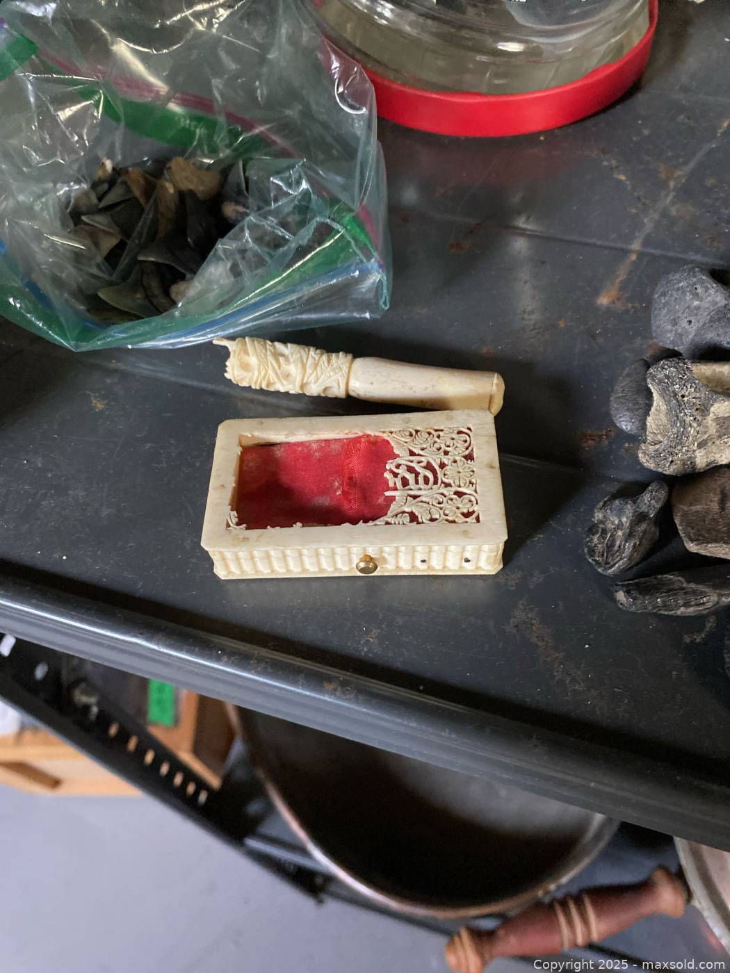 Shark's Teeth Fossils & More | Prince Edward (Ontario, Canada) PARTNER ...