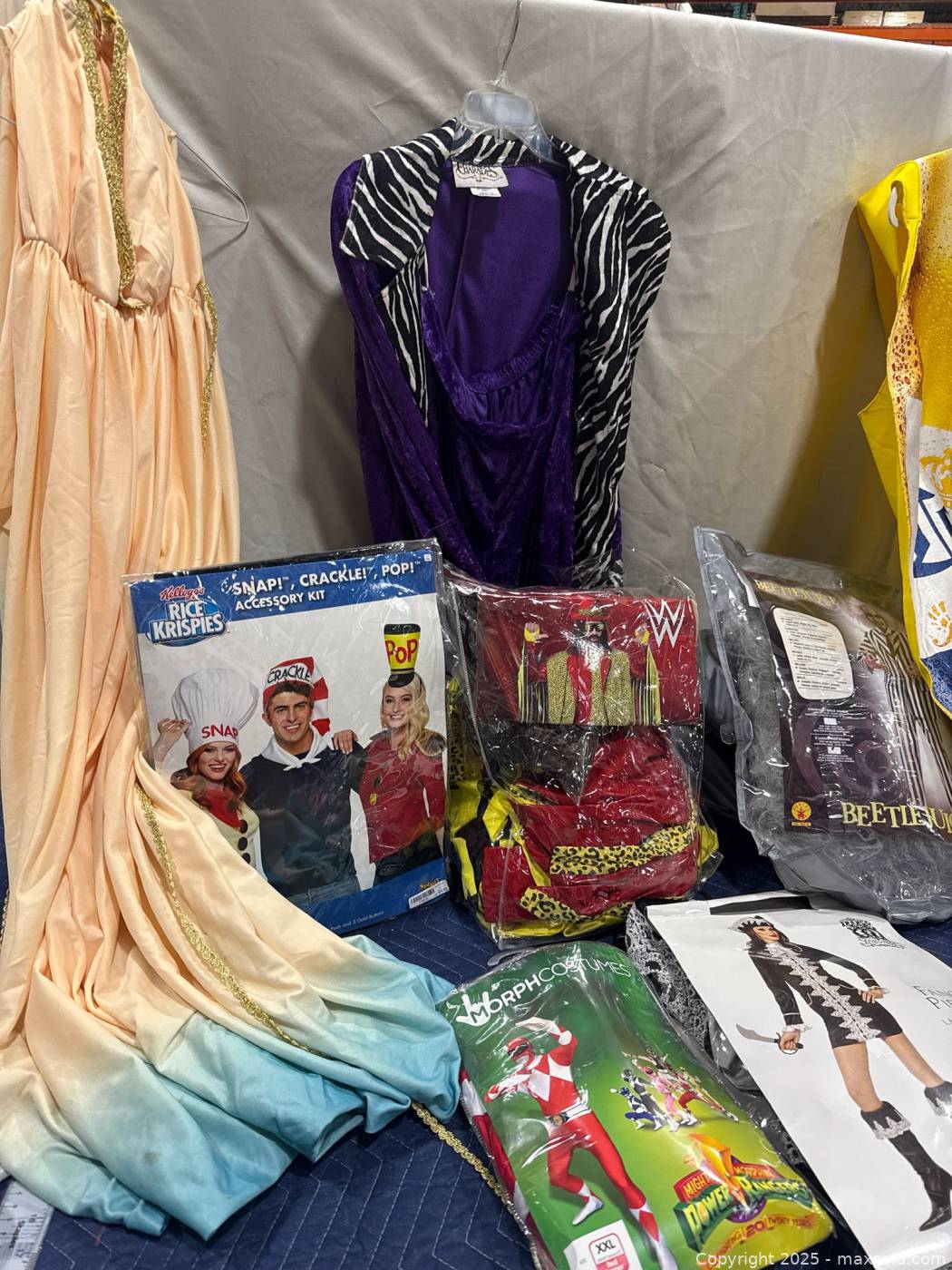 Assorted Dress Up Costumes by Franco American Novelty and More ...